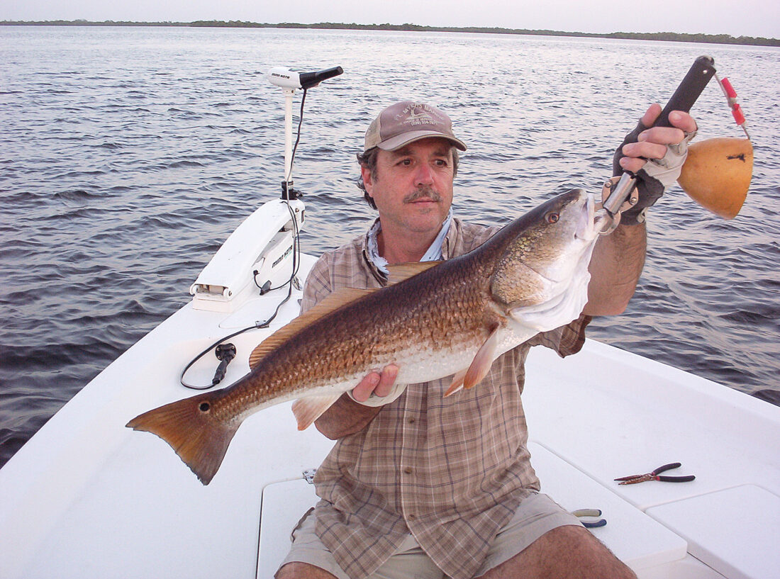 Fall’s a good time to catch bull redfish - Cape Coral Breeze